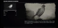 Sparrow | Red Dead Wiki | Fandom
