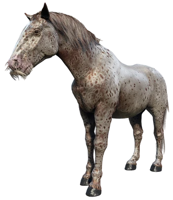 Nell IV | Red Dead Wiki | Fandom
