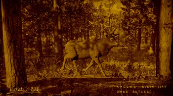 Legendary Katata Elk | Red Dead Wiki | Fandom