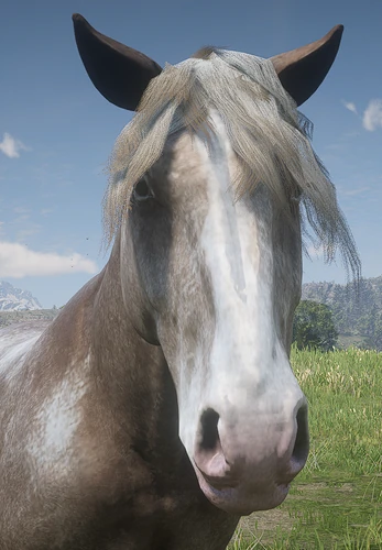 Maggie | Red Dead Wiki | Fandom