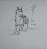 Dog (RDR2) | Red Dead Wiki | Fandom