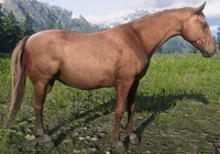 Tennessee Walker | Red Dead Wiki | Fandom