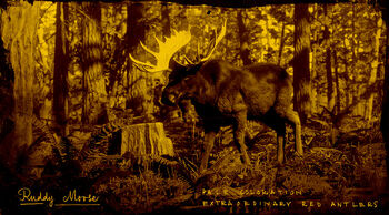 Legendary Ruddy Moose | Red Dead Wiki | Fandom