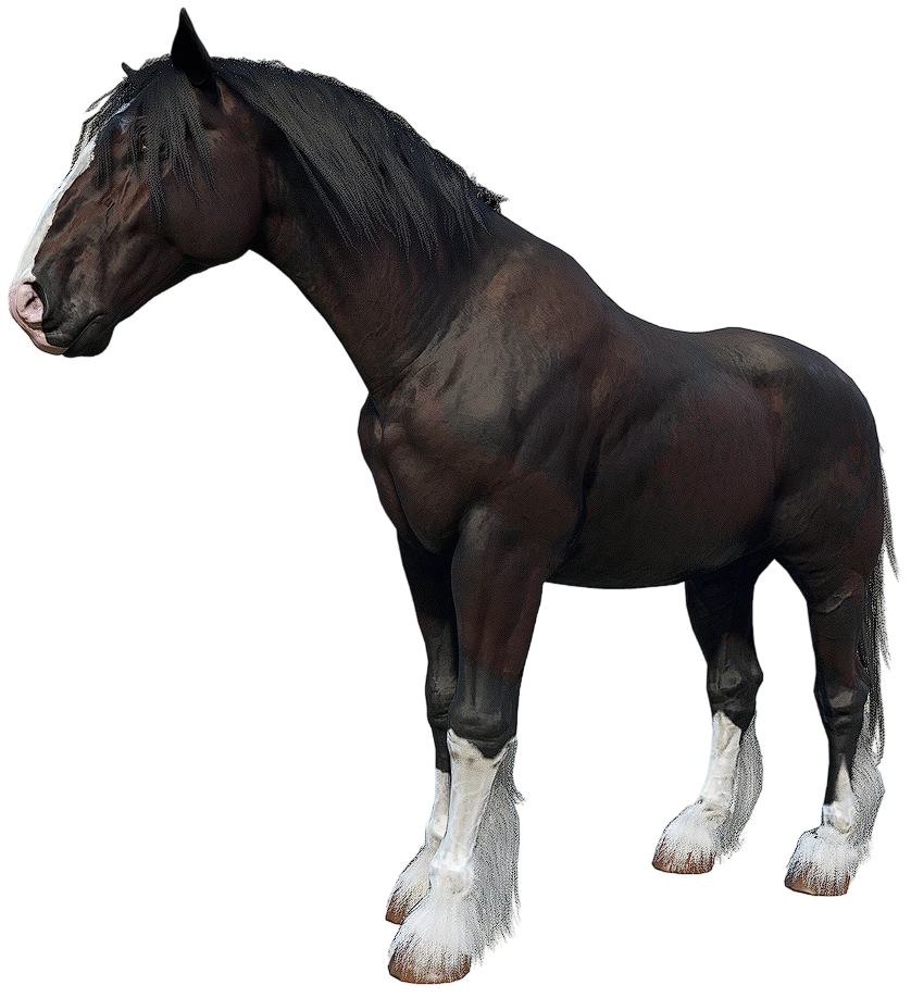 Shire | Red Dead Wiki | Fandom