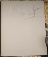 Warped Tree | Red Dead Wiki | Fandom