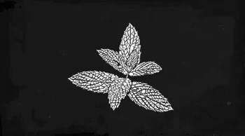 Wild Mint | Red Dead Wiki | Fandom