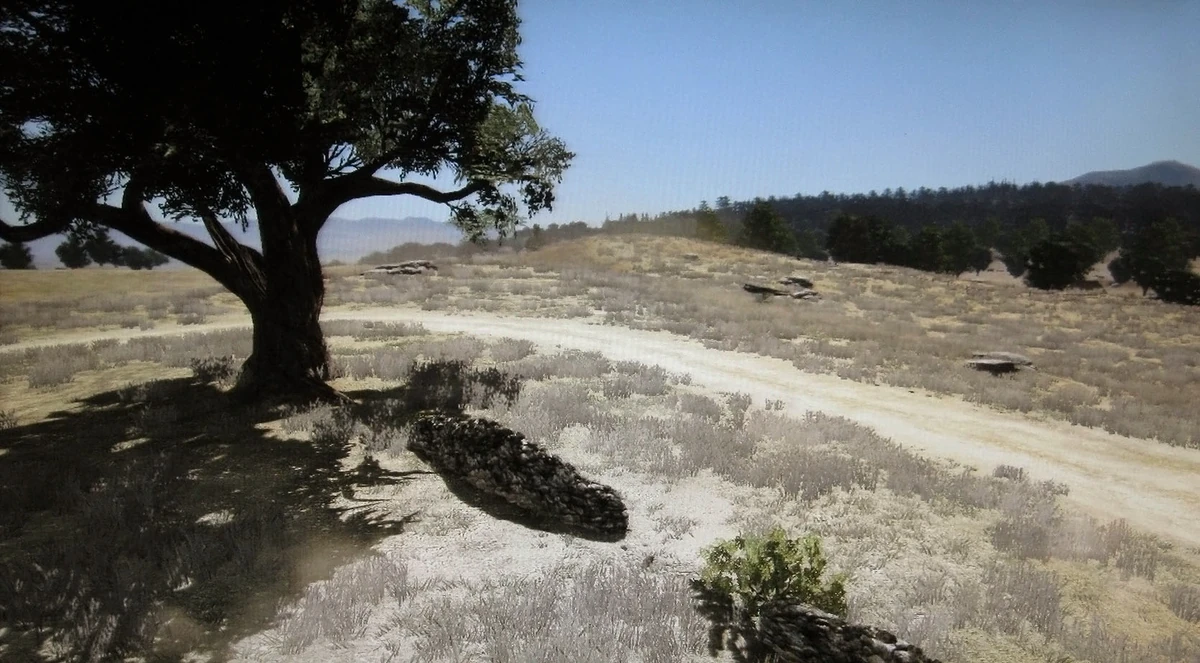 Broken Tree | Red Dead Wiki | Fandom