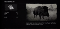 Peccary | Red Dead Wiki | Fandom