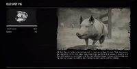 Pig (RDR 2) | Red Dead Wiki | Fandom