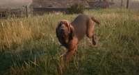 Dog (RDR2) | Red Dead Wiki | Fandom