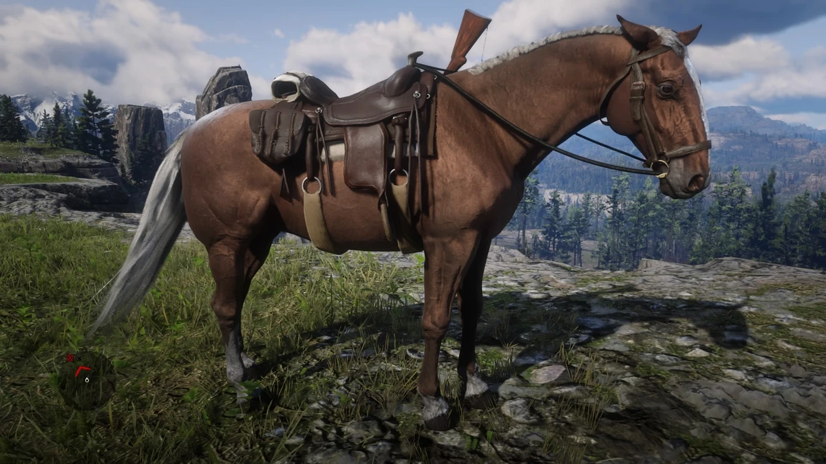 Hungarian Half-bred (RDR 2) | Red Dead Wiki | Fandom