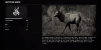 Moose | Red Dead Wiki | Fandom