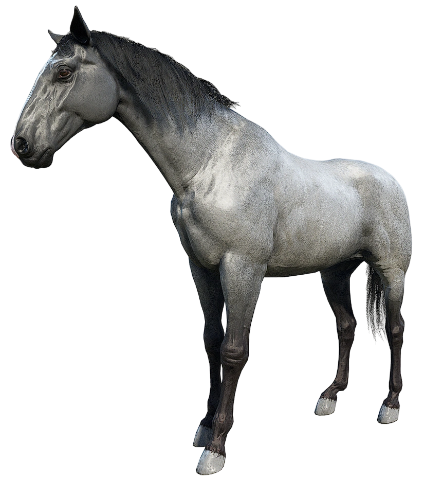 Horses in Red Dead Online | Red Dead Wiki | Fandom