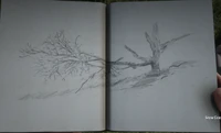 Warped Tree | Red Dead Wiki | Fandom