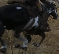 American Paint | Red Dead Wiki | Fandom