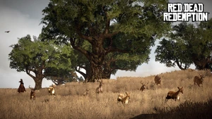 Hunting | Red Dead Wiki | Fandom