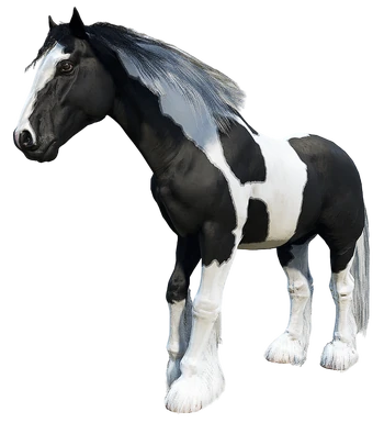 Gypsy Cob | Red Dead Wiki | Fandom