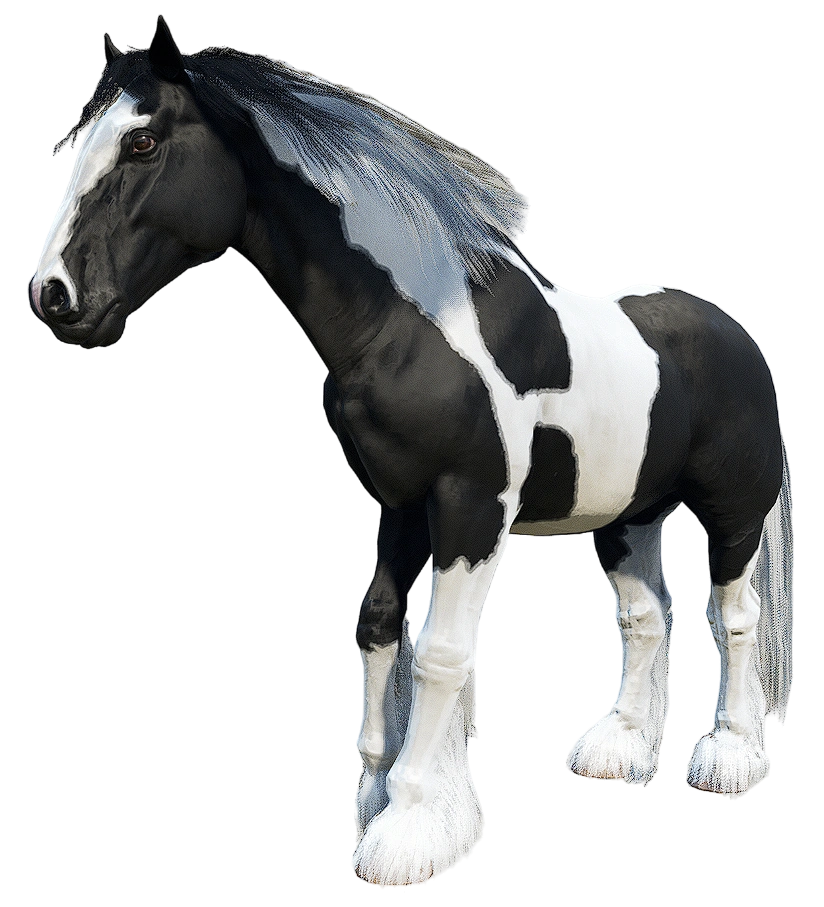 Red Mane Gypsy Varner