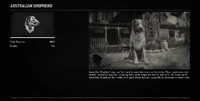 Dog (RDR2) | Red Dead Wiki | Fandom