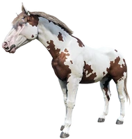 Criollo | Red Dead Wiki | Fandom