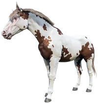 Criollo | Red Dead Wiki | Fandom