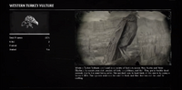 Vulture (RDR 2) | Red Dead Wiki | Fandom