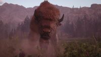Legendary Payta Bison | Red Dead Wiki | Fandom