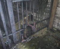 Limpany | Red Dead Wiki | Fandom