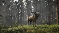 Legendary Ruddy Moose | Red Dead Wiki | Fandom