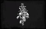American Wild Flowers | Red Dead Wiki | Fandom