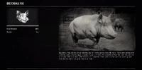 Pig (RDR 2) | Red Dead Wiki | Fandom