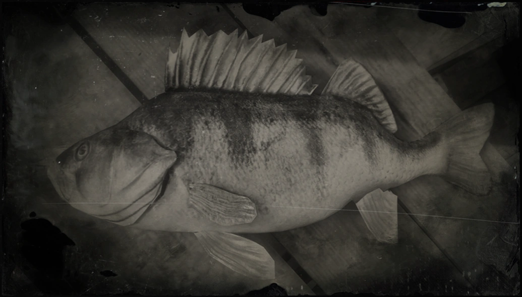 Perch | Red Dead Wiki | Fandom