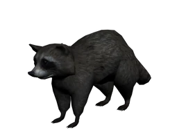 Raccoon | Red Dead Wiki | Fandom