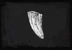 Cougar Fang Trinket | Red Dead Wiki | Fandom