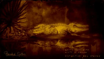 Legendary Banded Gator | Red Dead Wiki | Fandom