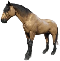 Mustang | Red Dead Wiki | Fandom