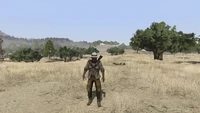 Mexican Army | Red Dead Wiki | Fandom