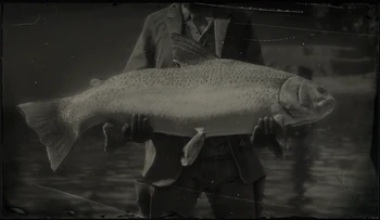 Legendary Steelhead Trout | Red Dead Wiki | Fandom