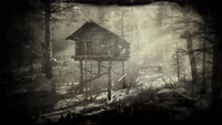 Stilt Shack | Red Dead Wiki | Fandom