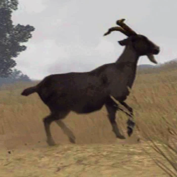 Horned Goat | Red Dead Wiki | Fandom