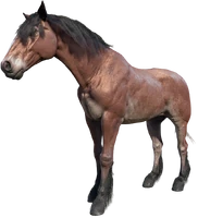 Mustang | Red Dead Wiki | Fandom