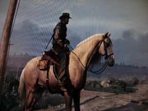 Kentucky Saddler | Red Dead Redemption Wiki | Fandom