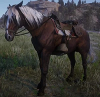 Hungarian Half-bred (RDR 2) | Red Dead Wiki | Fandom