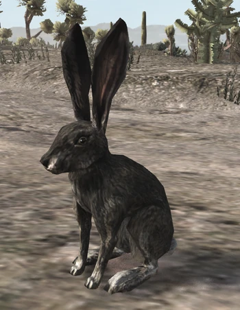 Rabbit | Red Dead Wiki | Fandom
