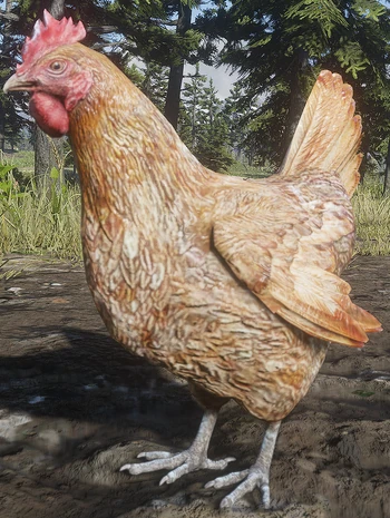 Chicken (RDR 2) | Red Dead Wiki | Fandom