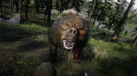 Grizzly (RDR 2) | Red Dead Wiki | Fandom