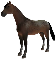 Painted Standardbred | Red Dead Wiki | Fandom