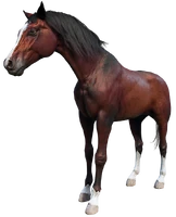 Arabian | Red Dead Wiki | Fandom