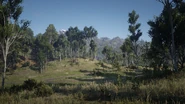Cumberland Forest | Red Dead Wiki | Fandom