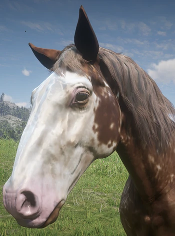 Nell II | Red Dead Wiki | Fandom